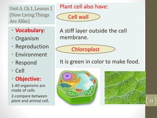 Ch.1,l1, how living things are alike | PPTX | Biological Sciences | Science