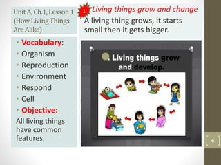 Ch.1,l1, how living things are alike | PPTX | Biological Sciences | Science