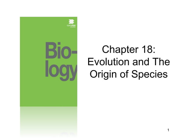 Ch.18 lecture presentation | PPT | Geology | Science