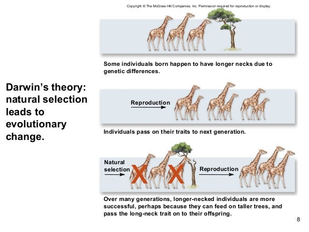 Ch.18 lecture presentation