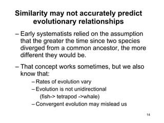 Ch.20 lecture presentation1 | PPT