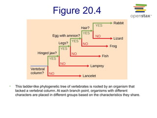 Ch.20 lecture presentation1 | PPT | Biological Sciences | Science