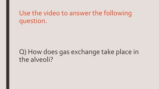 Ch.5. the respiratory system | PPT