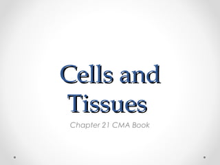 Ch. 21 cells and tissues | PPT