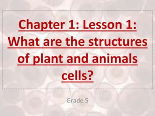 Ch.1.less.1. what are the structures of plant and animals cells | PPT