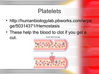 Ch.4.circulatory system | PPT