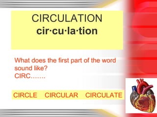 Ch.4.circulatory system | PPT