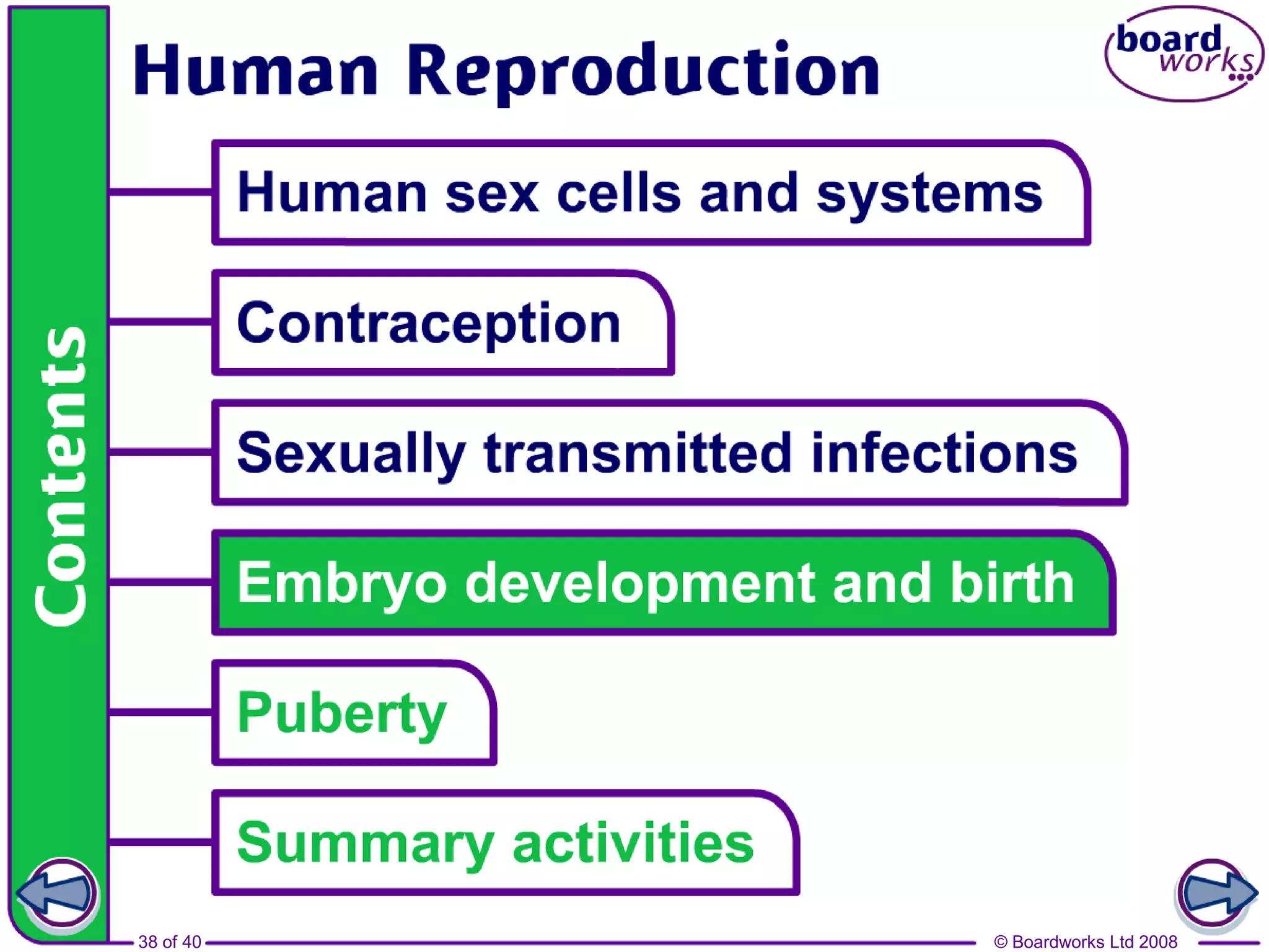 Ch.6.reproduction in humans | PPT