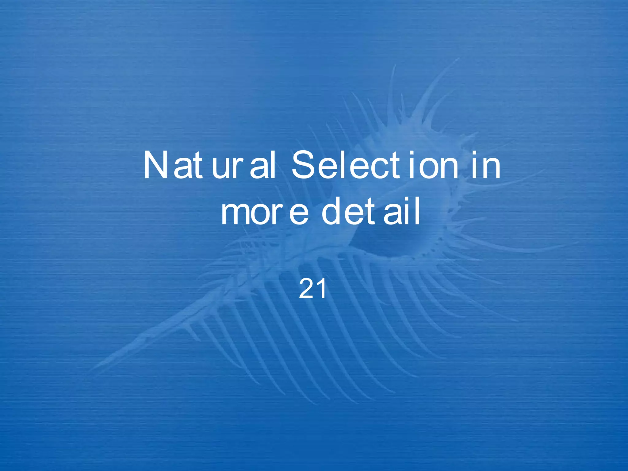 Natural selection, genetic drift, gene flow | PPT