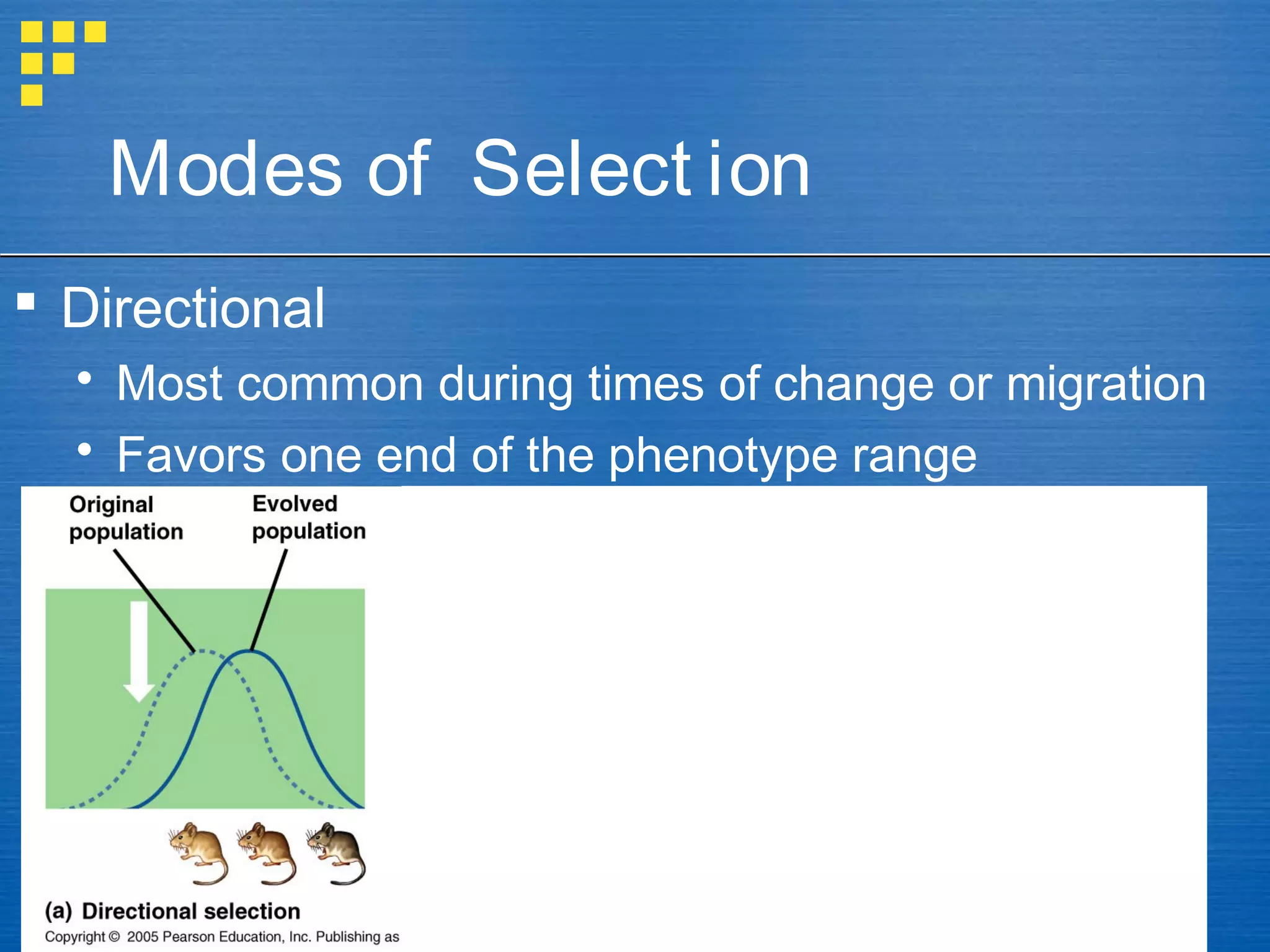 Natural selection, genetic drift, gene flow | PPT