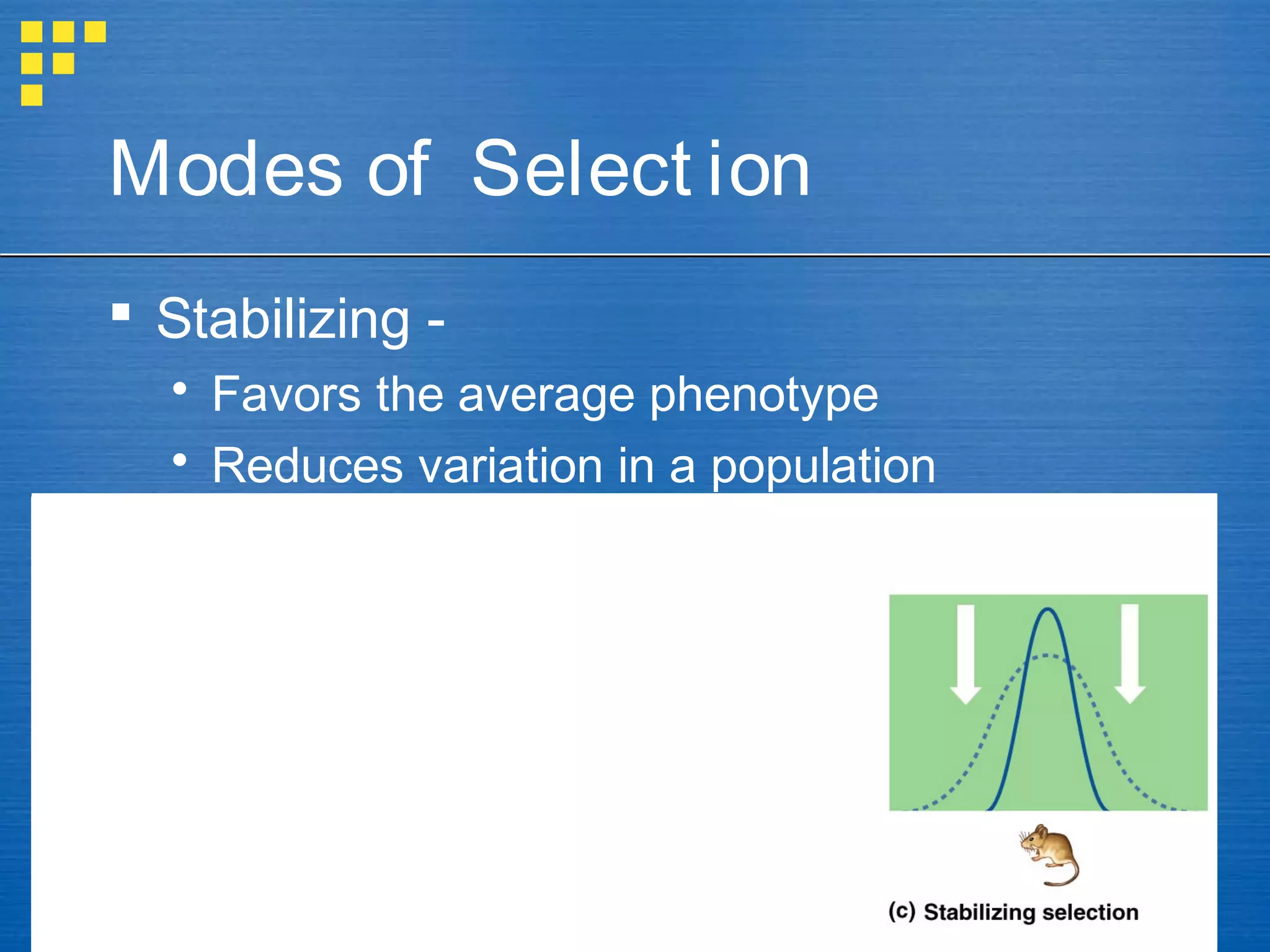 Natural selection, genetic drift, gene flow | PPT