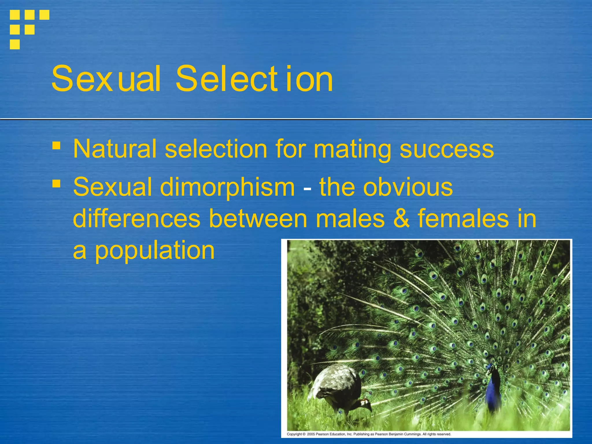 Natural selection, genetic drift, gene flow | PPT