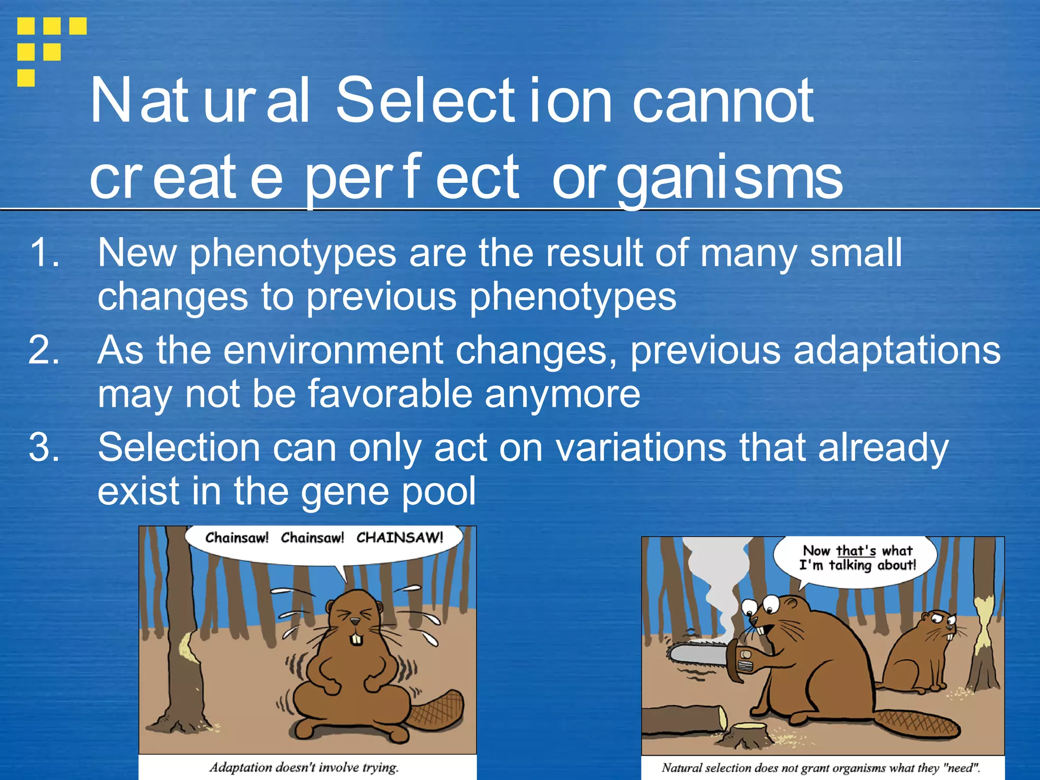 Natural selection, genetic drift, gene flow | PPT
