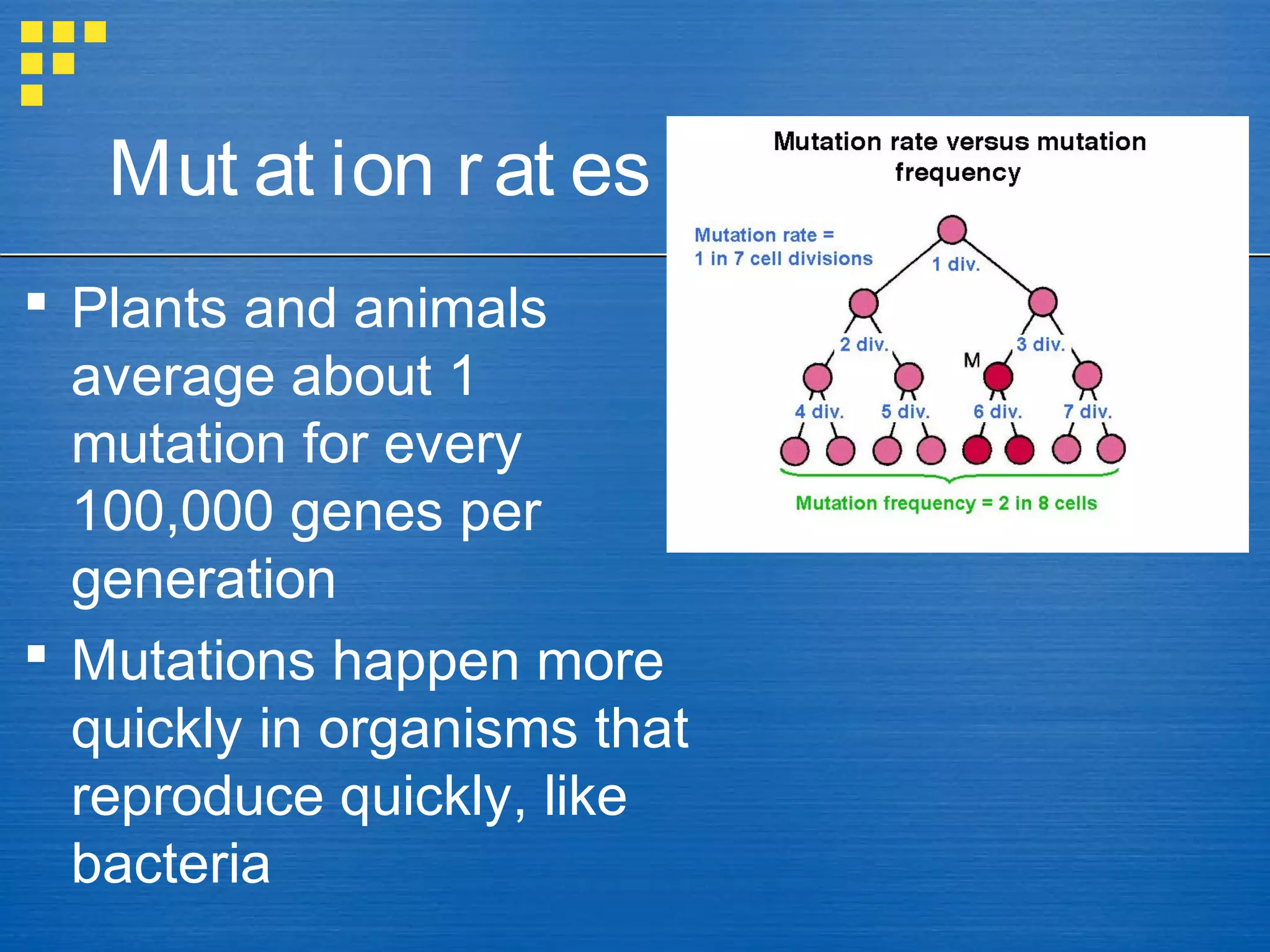 Natural selection, genetic drift, gene flow | PPT