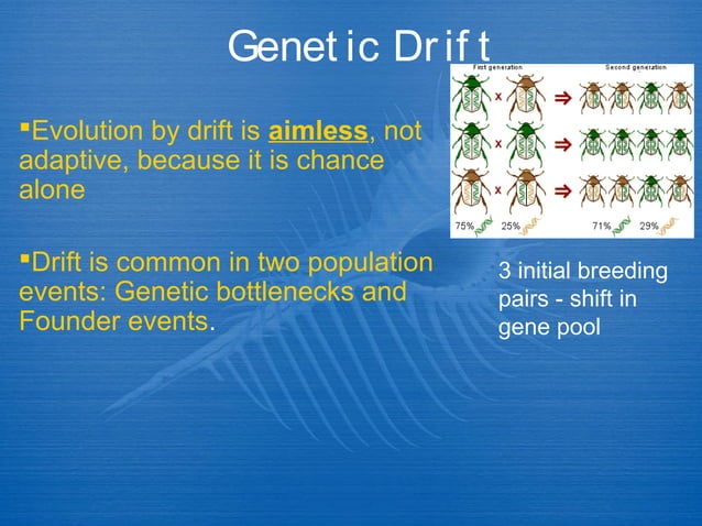 Natural selection, genetic drift, gene flow | PPT | Genetics | Science