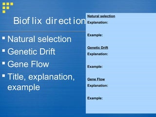 Natural selection, genetic drift, gene flow | PPT