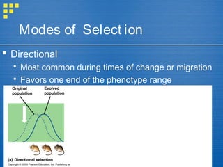 Natural selection, genetic drift, gene flow | PPT