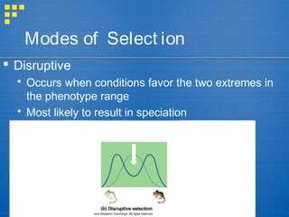 Natural selection, genetic drift, gene flow | PPT