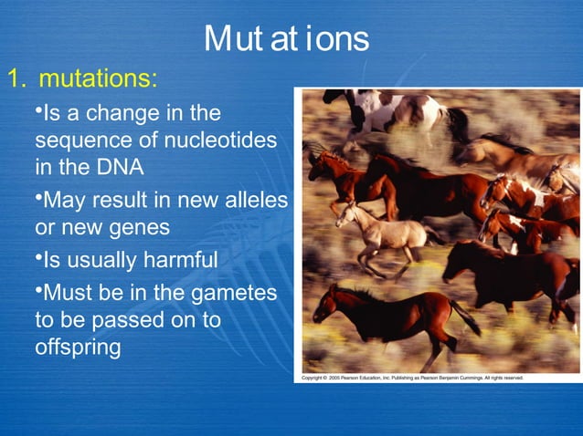 Natural selection, genetic drift, gene flow | PPT | Genetics | Science