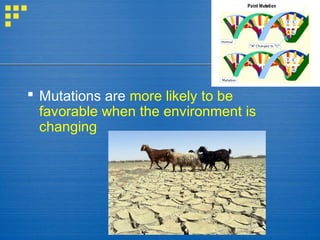 Natural selection, genetic drift, gene flow | PPT