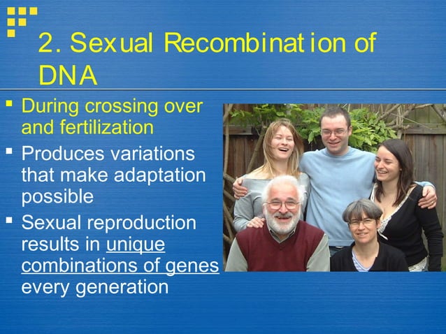Natural selection, genetic drift, gene flow | PPT | Genetics | Science
