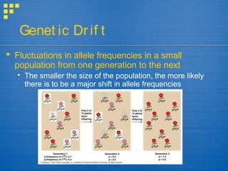 Gene Flow And Genetic Drift