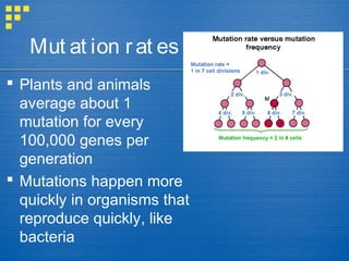 Gene Flow And Genetic Drift