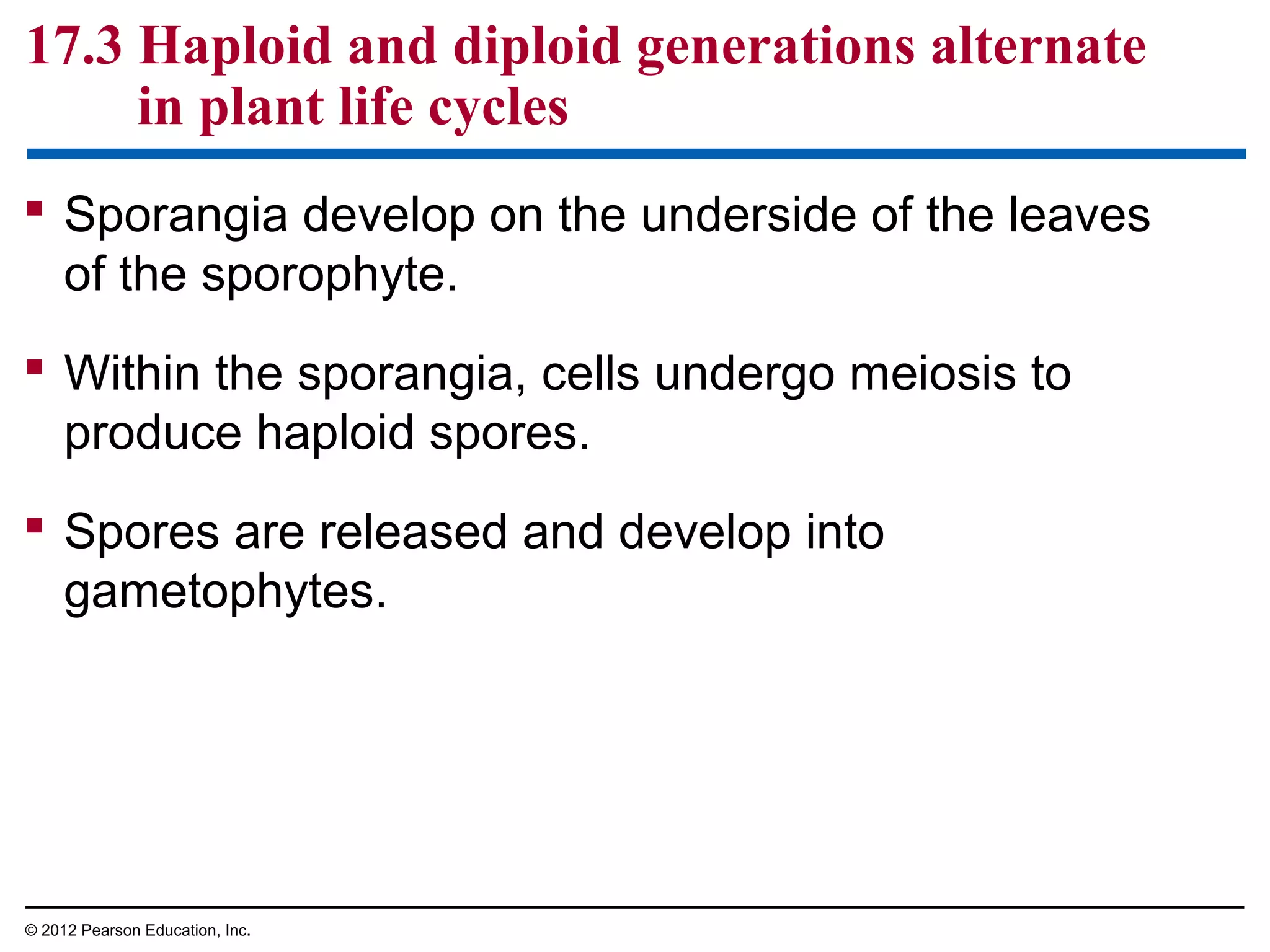 Plants Evolution | PPT