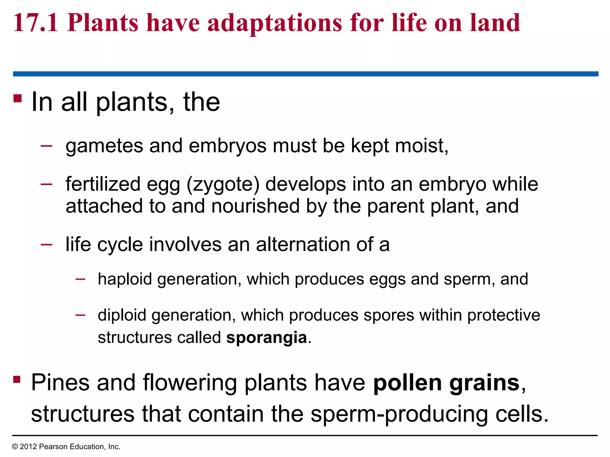 Plants Evolution | PPT