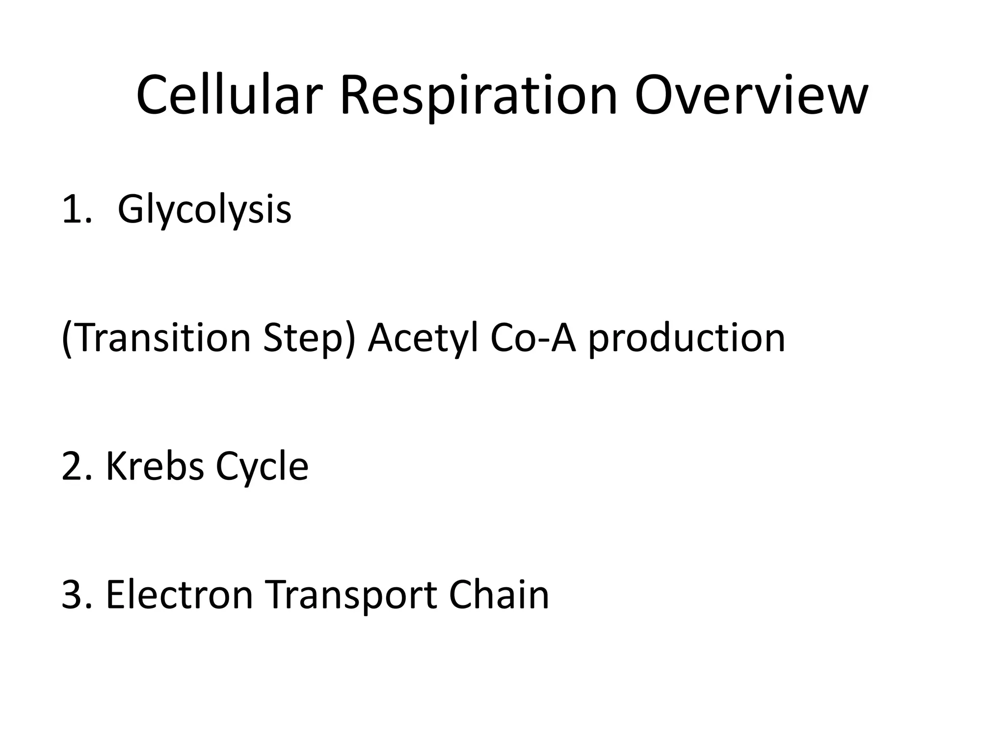 Ch. 6 cellular respiration blank sp 2018 | PPTX