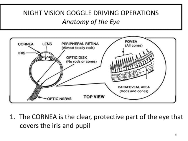 Night Vision Technology | PPT | Free Download