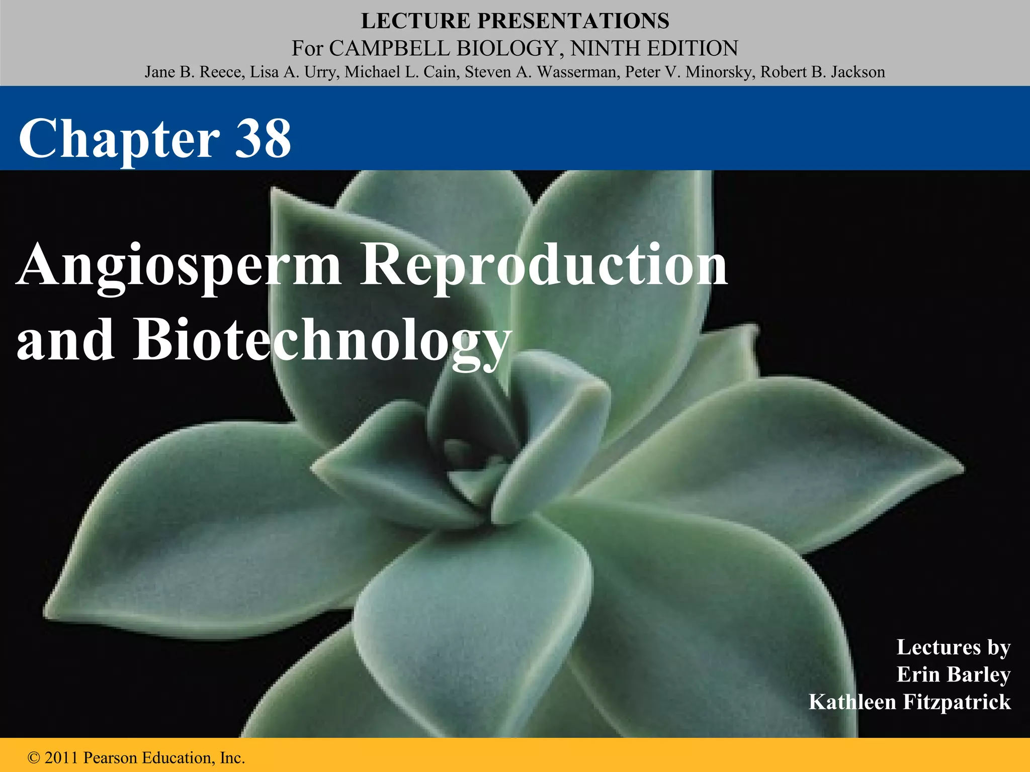 Ch. 38: Angiosperm Reproduction and Biotechnology | PPT