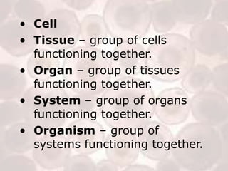 Ch.1.less.1. what are the structures of plant and animals cells | PPT