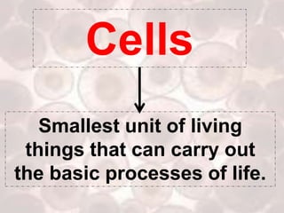 Ch.1.less.1. what are the structures of plant and animals cells | PPT