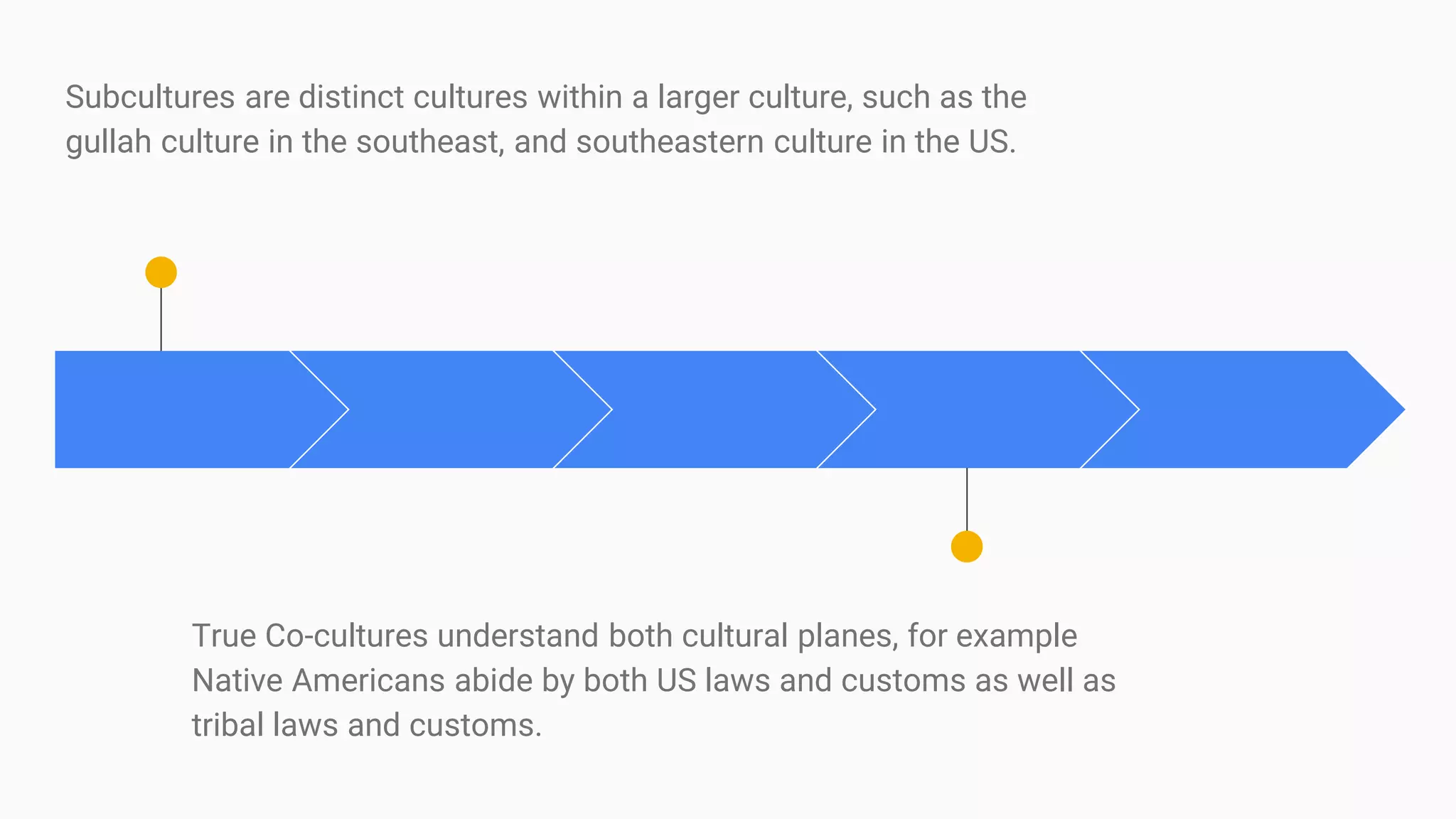 Ch.1 subcultures & co cultures | PPTX