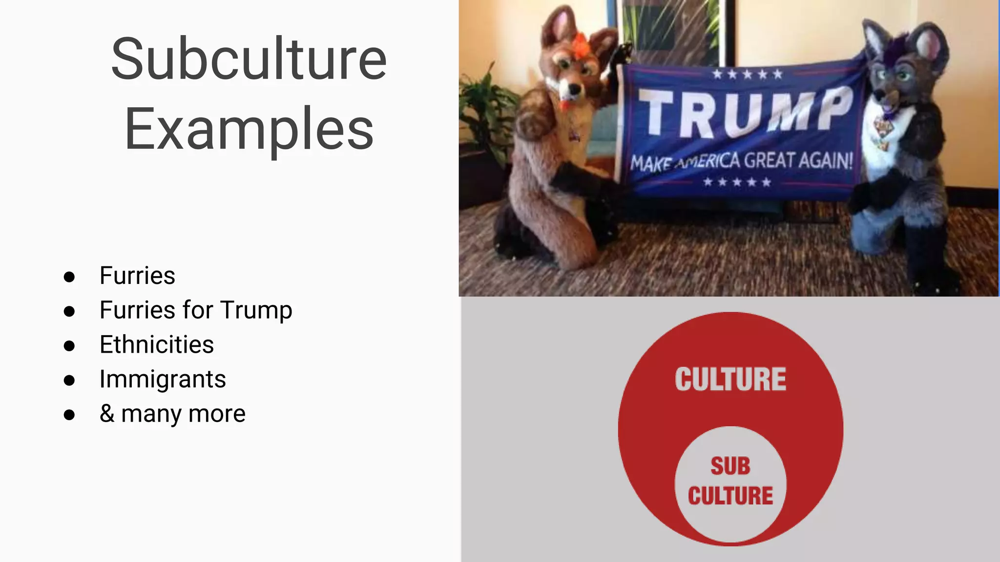 Ch.1 subcultures & co cultures | PPTX