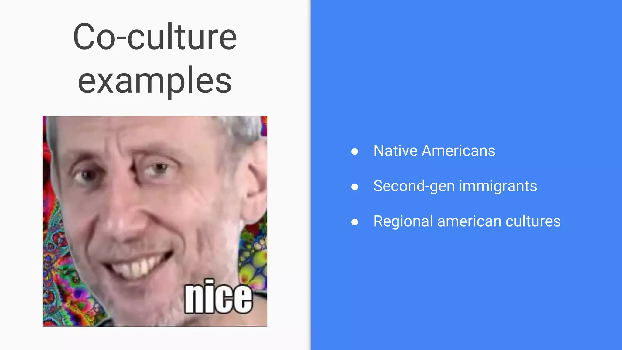 Ch.1 subcultures & co cultures | PPTX