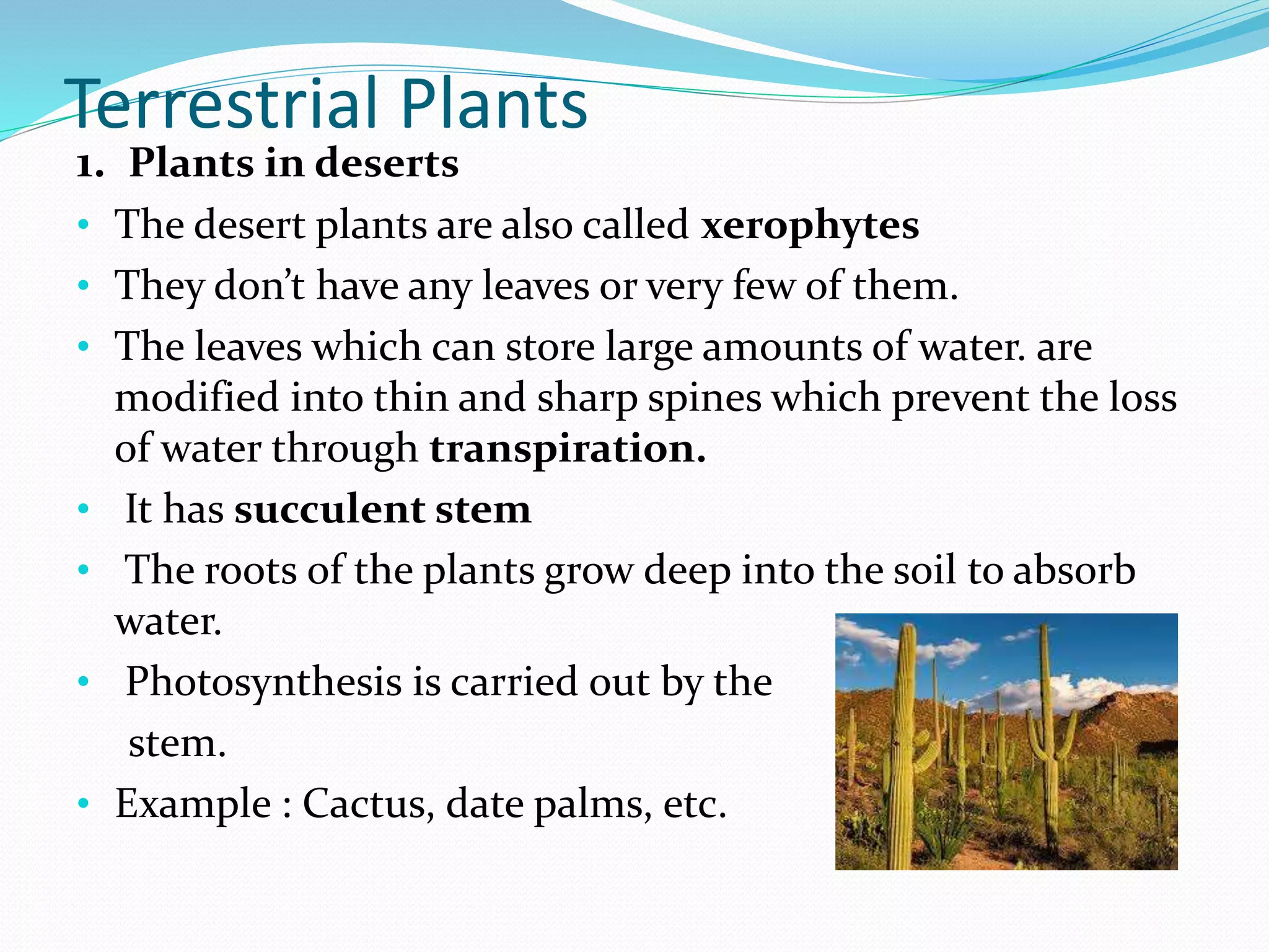 CH- 1Adaptation in Plants.pptx