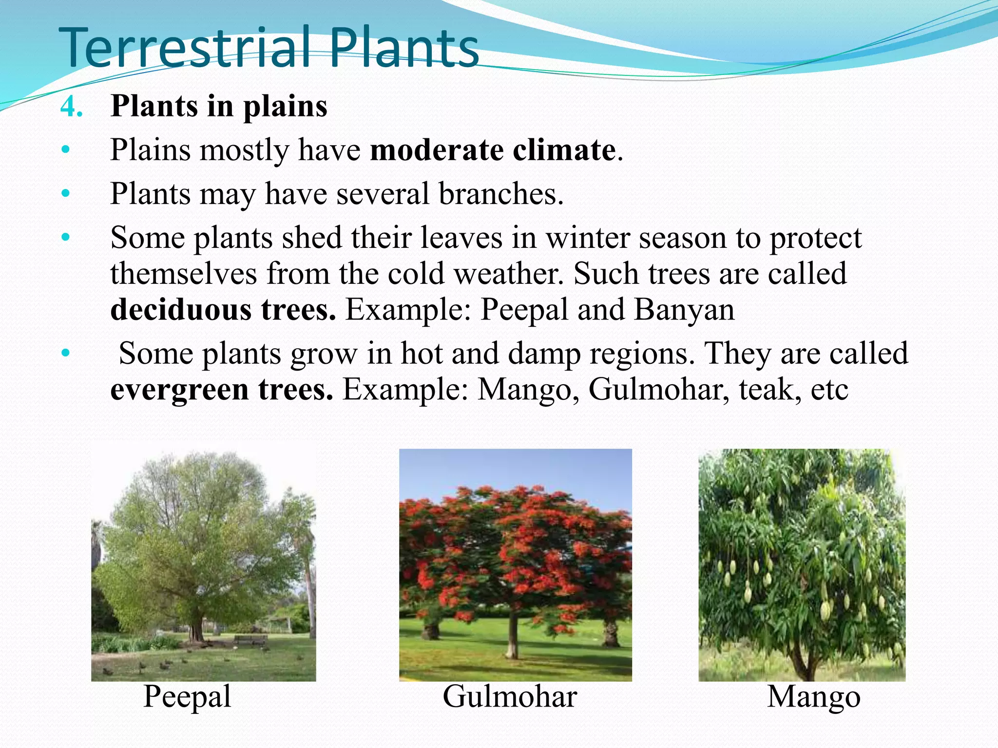 CH- 1Adaptation in Plants.pptx
