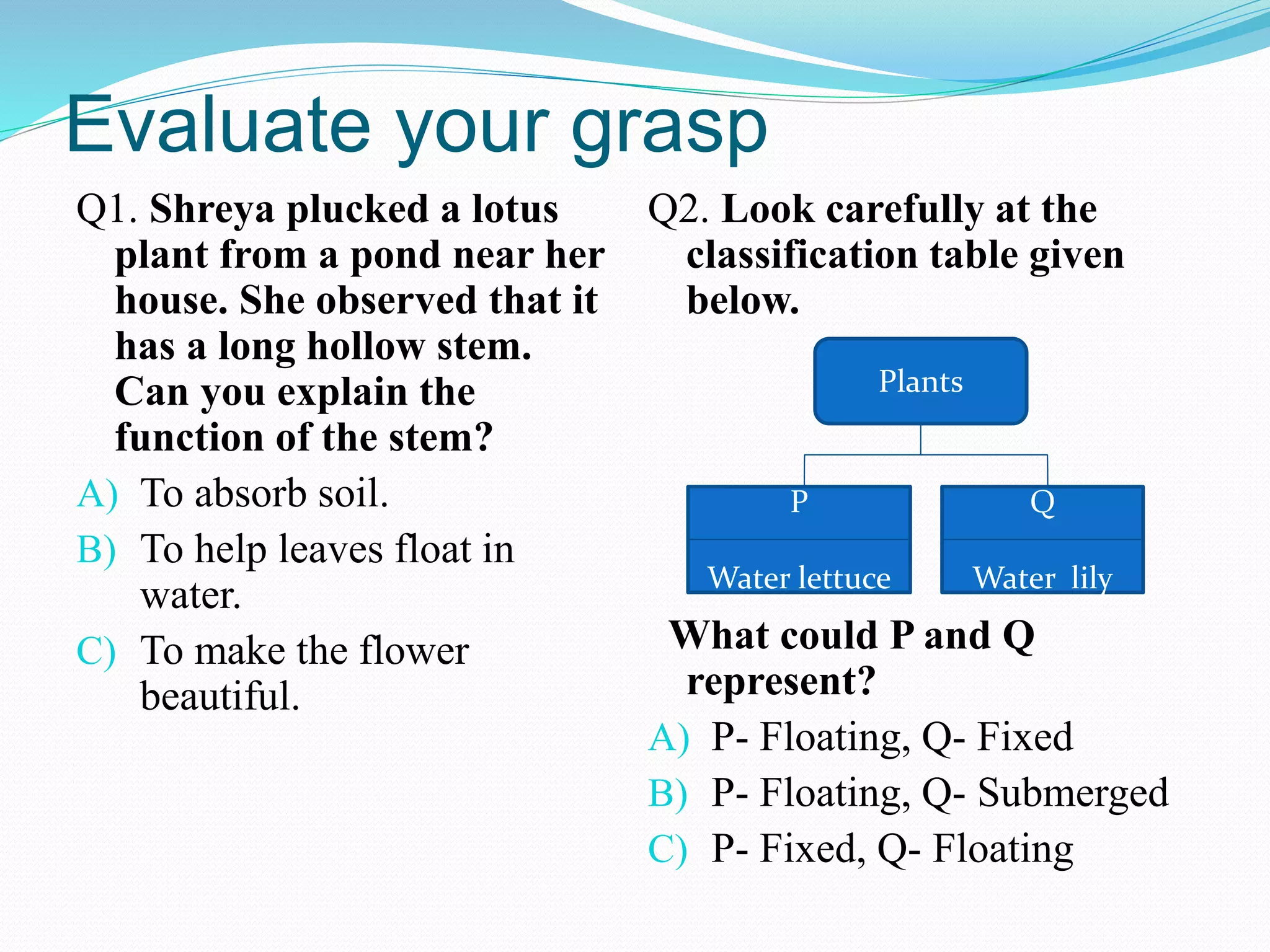CH- 1Adaptation in Plants.pptx