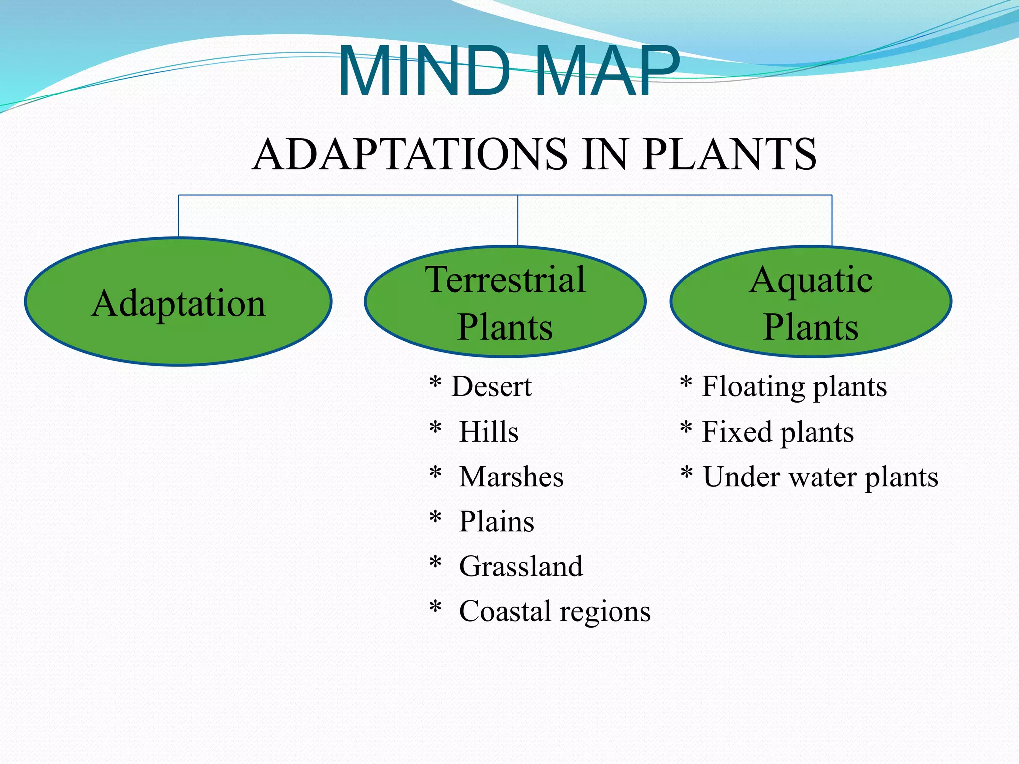 CH- 1Adaptation in Plants.pptx