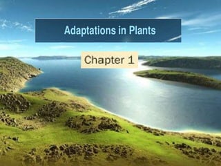 CH- 1Adaptation in Plants.pptx