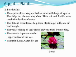 CH- 1Adaptation in Plants.pptx