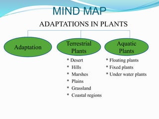 CH- 1Adaptation in Plants.pptx