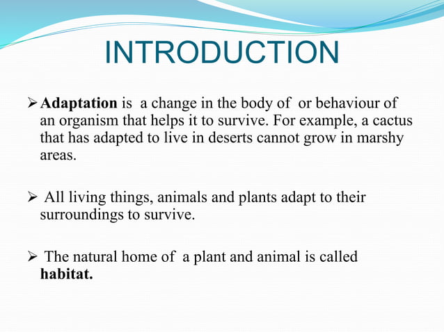 CH- 1Adaptation in Plants.pptx | Gardening | Home & Garden