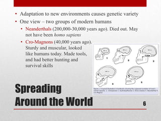 Ch. 1 beginnings of civilizations | PPTX