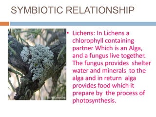 Ch 1; heterotrophic nutrition | PPTX
