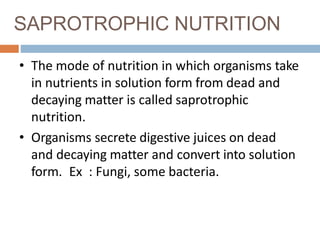Ch 1; heterotrophic nutrition | PPTX