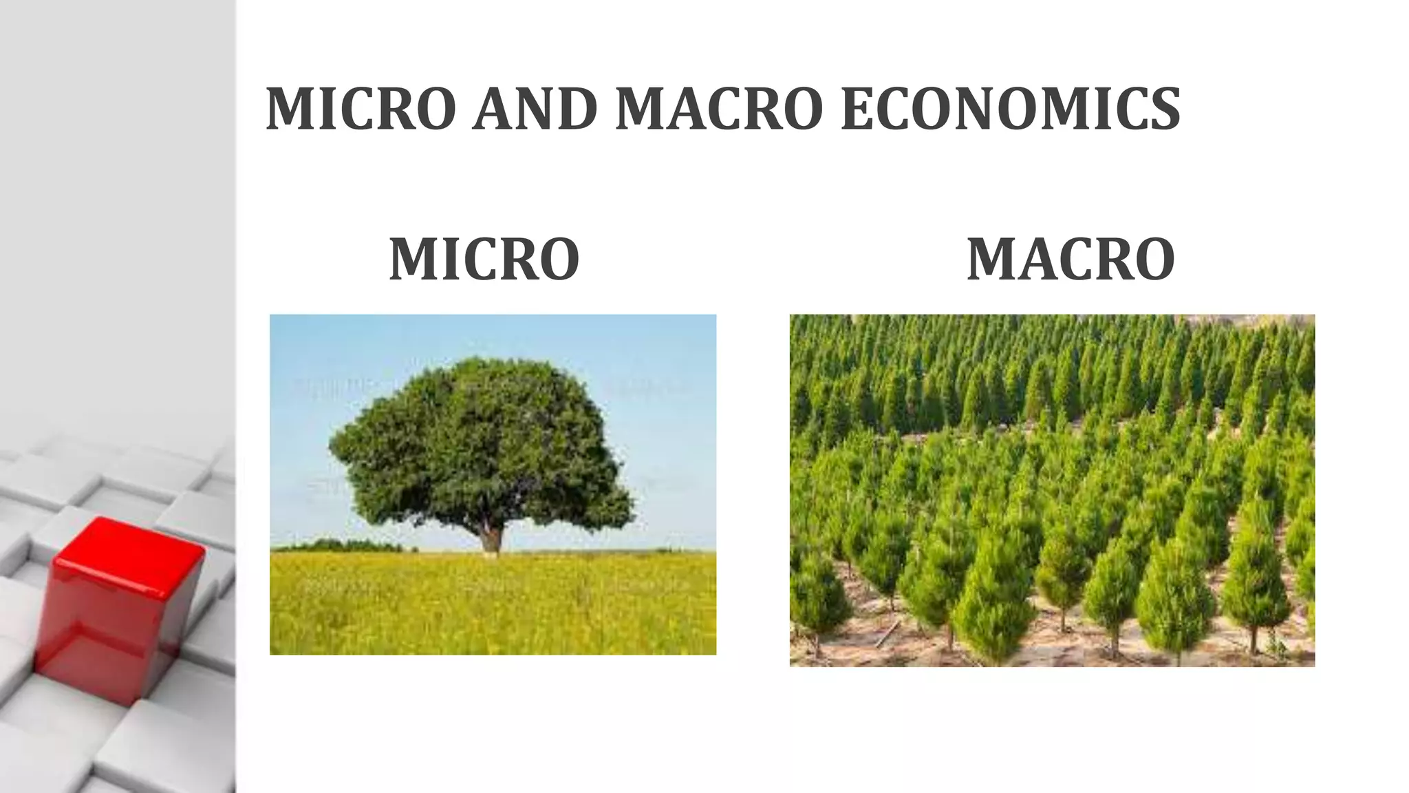 INTRODUCTION - MICRO ECONOMICS | PPTX