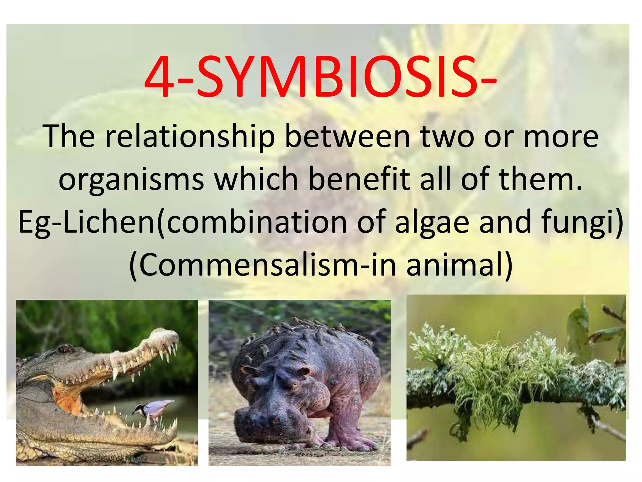 Class -7 Science Chapter-1 nutrition in plants, | PPTX
